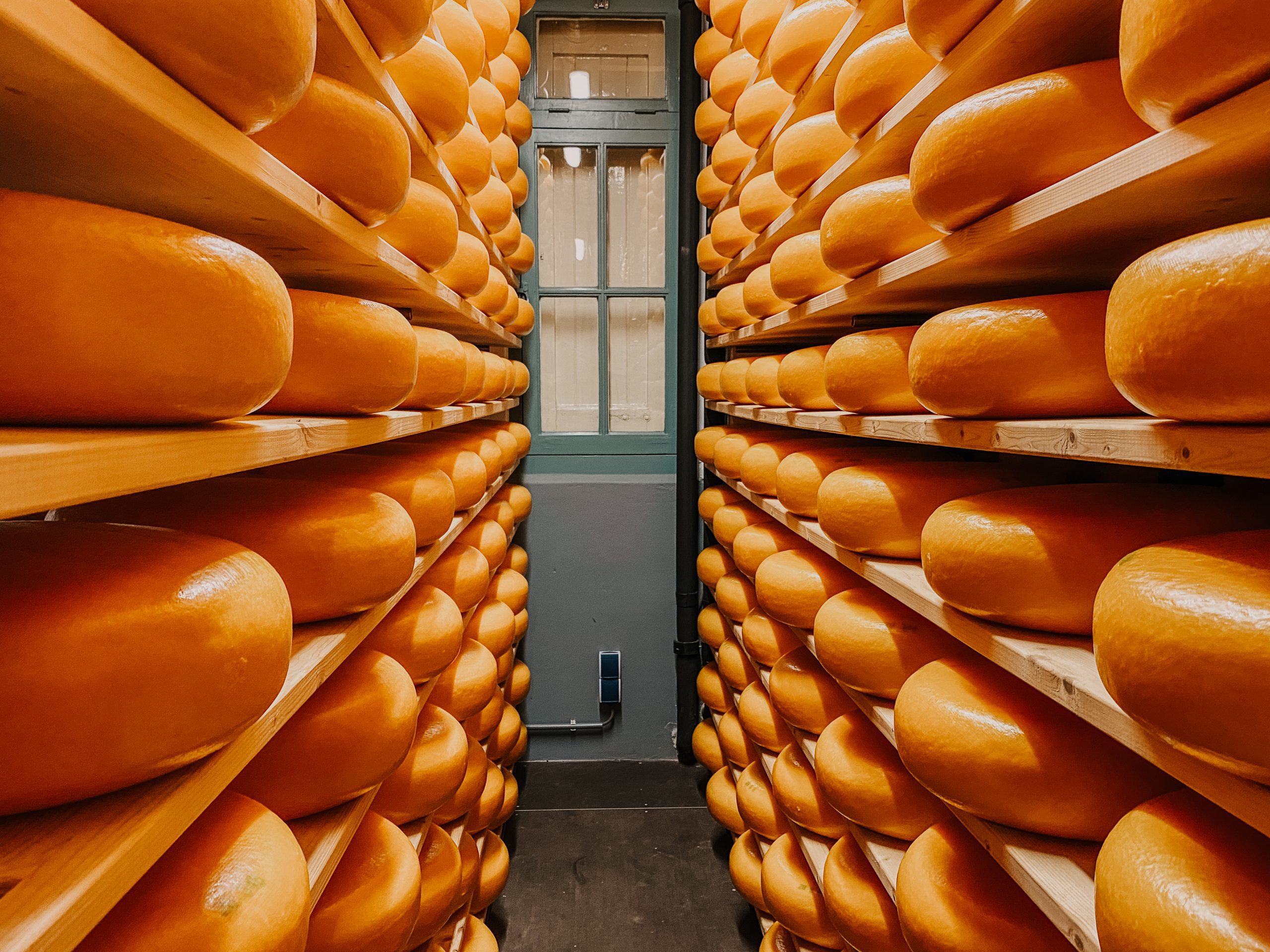 Cheese Valley: Ein Besuch im grünen Herzen von Holland