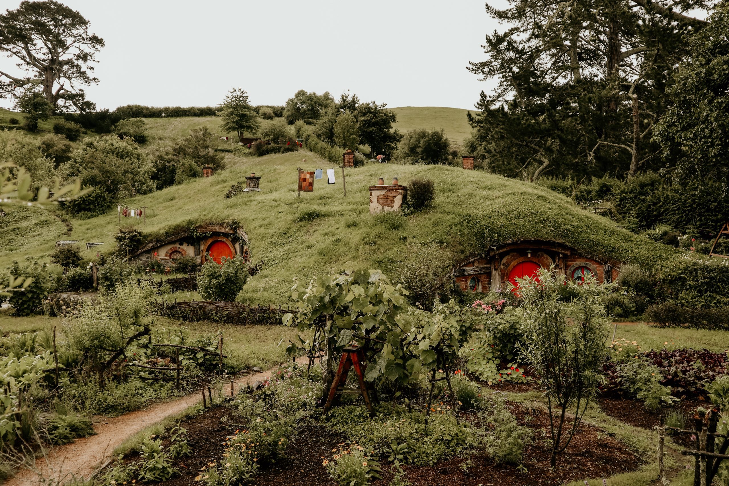 Neuseeland: Hobbiton Movie Set Tour - Ein Ausflug ins Auenland